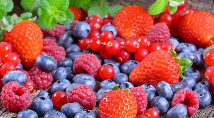 Berries nativos: Una nueva oportunidad para la exportación de Chile ...