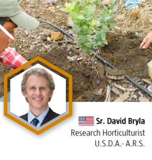 mailing-espana-bryla | Blueberries Consulting