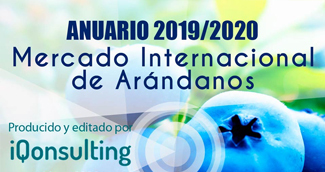 Mario Steta, Vice President and General Director of Driscoll's for ...