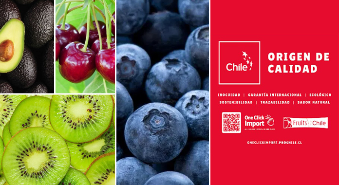 prochile | Blueberries Consulting