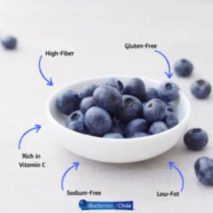 Chilean fresh fruit season advances in North America | Blueberries ...
