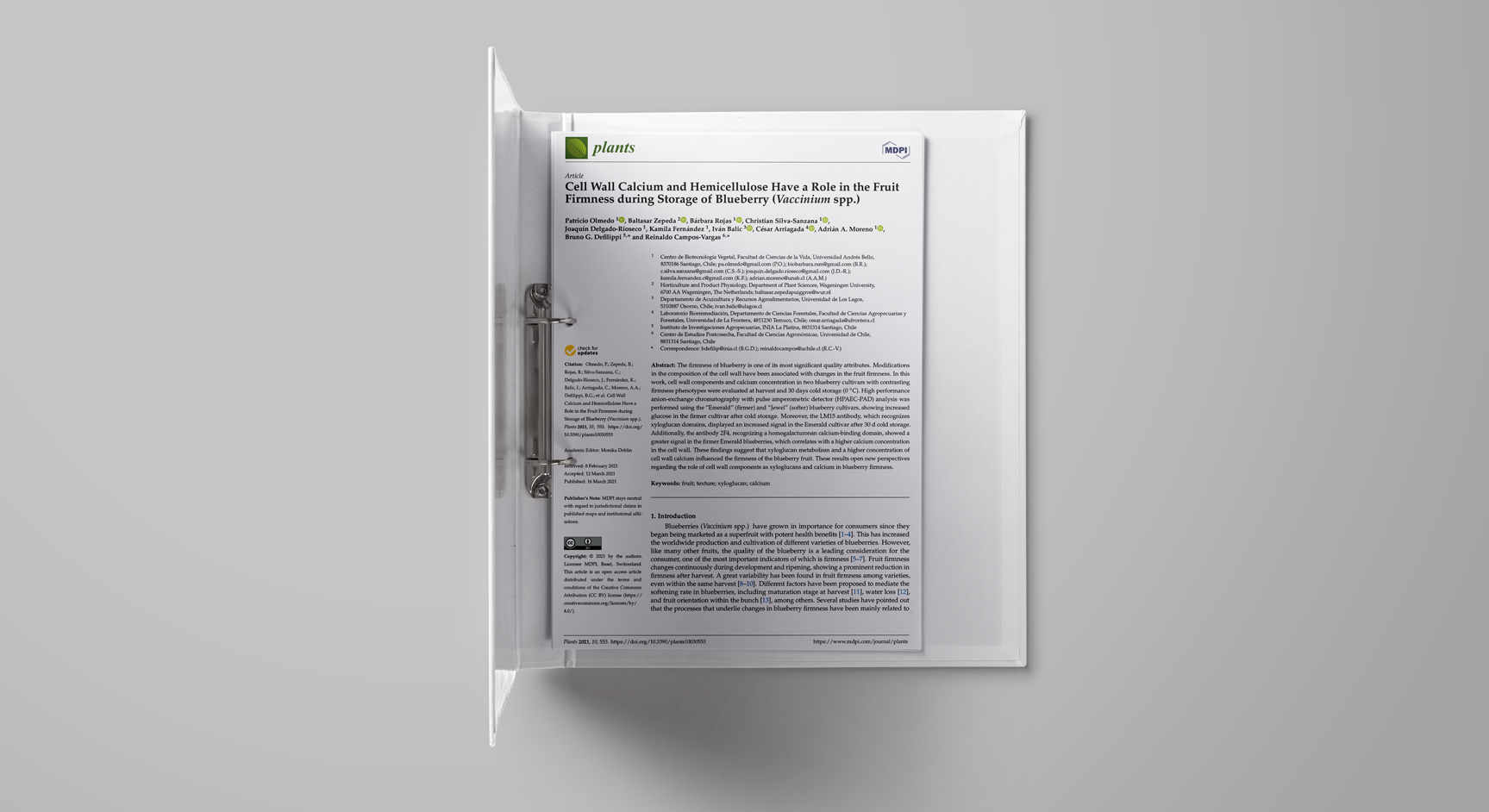 Cell Wall Calcium and Hemicellulose Have a Role in the Fruit Firmness ...