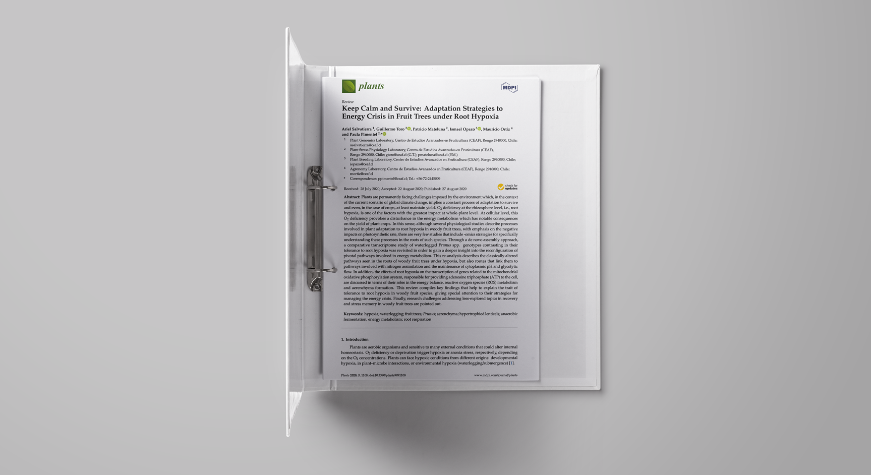 Keep Calm and Survive: Adaptation Strategies to Energy Crisis in Fruit ...