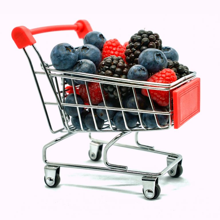 Italian Berry Day, the first international event on berries in Italy ...