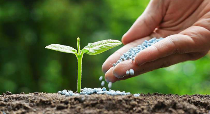 Alzbeta Klein de IFA: “Es tiempo de hacer de los fertilizantes un bien ...