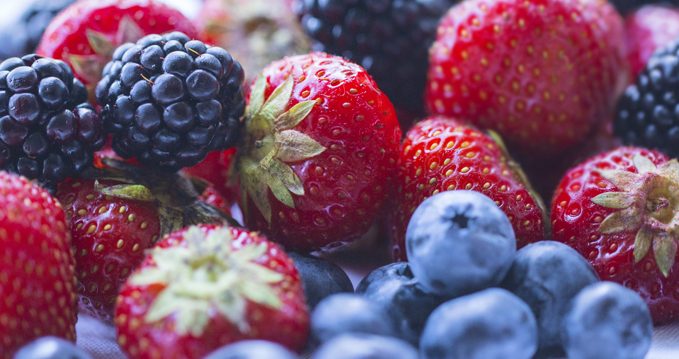 USDA: Morocco, 15th largest fruit exporter in the world | Blueberries ...