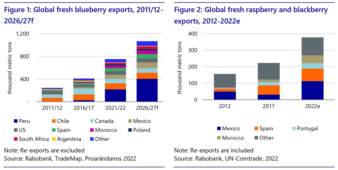 A look at the global berry sector: changes for the better beyond 2023 | Blueberries Consulting