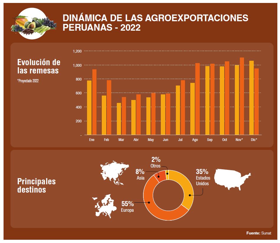 peruvian-exports | Blueberries Consulting