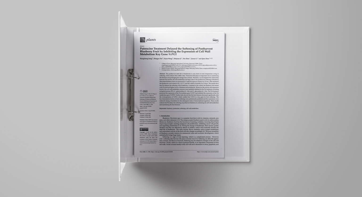 Combined use of Trichoderma and beneficial bacteria (mainly Bacillus ...