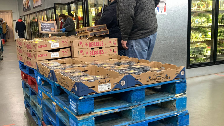 Demand for blueberries is increasing, so aggressive marketing can boost ...