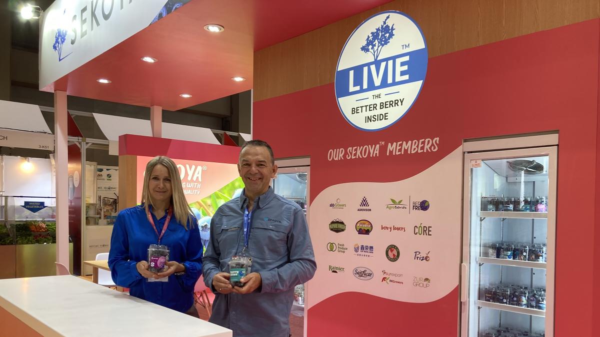 Sekoya confía en sus arándanos premium en los mercados asiático y chino ...