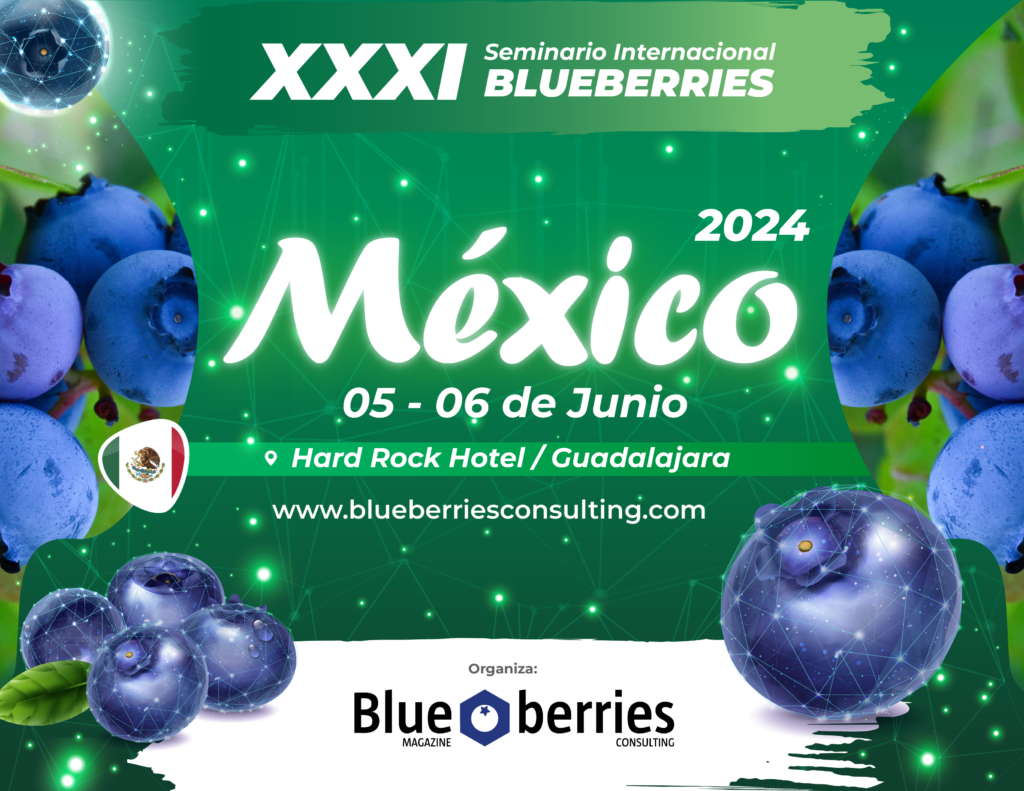 seminario México 2024 | Blueberries Consulting