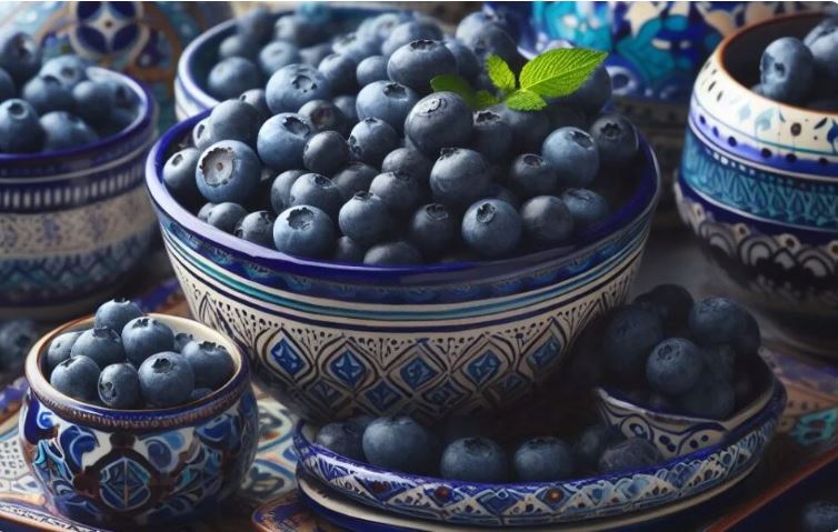 Morocco leads blueberry exports to Saudi Arabia, surpassing South ...