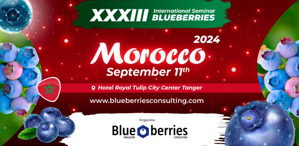 Morocco | Blueberries Consulting