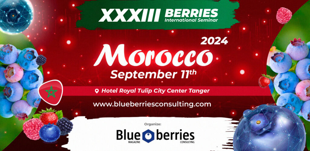 Morocco | Blueberries Consulting