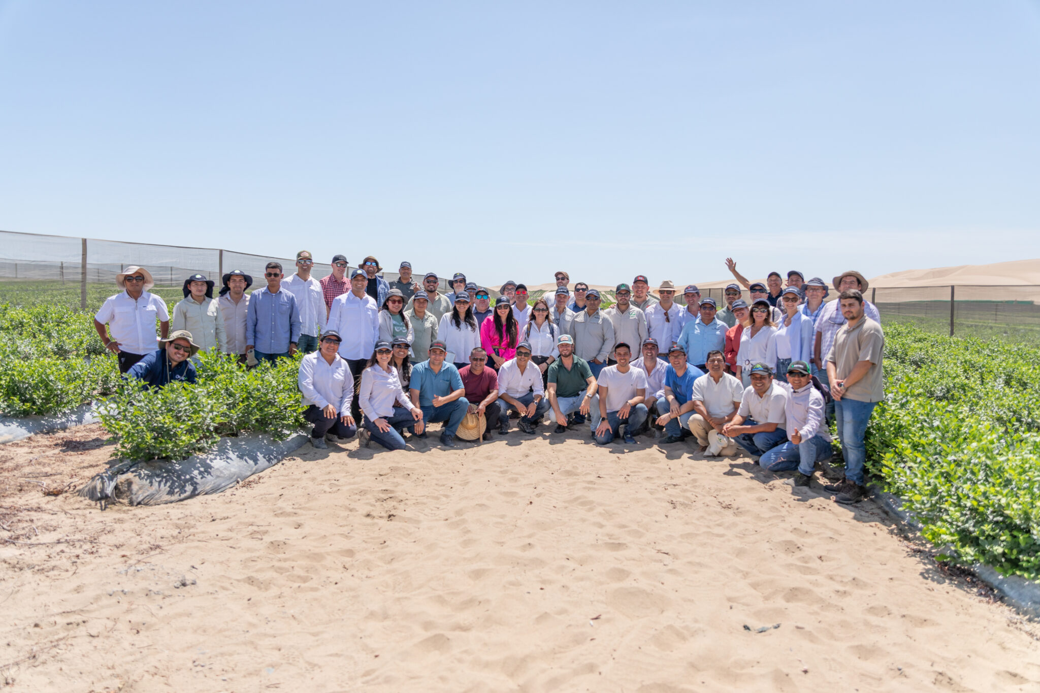 Mexico: Main ports inaugurate new Intelligent and Safe Port (PIS ...