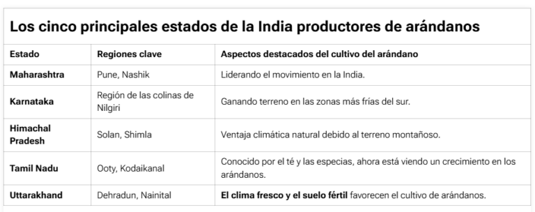 What are the top blueberry-producing states in India? | Blueberries ...