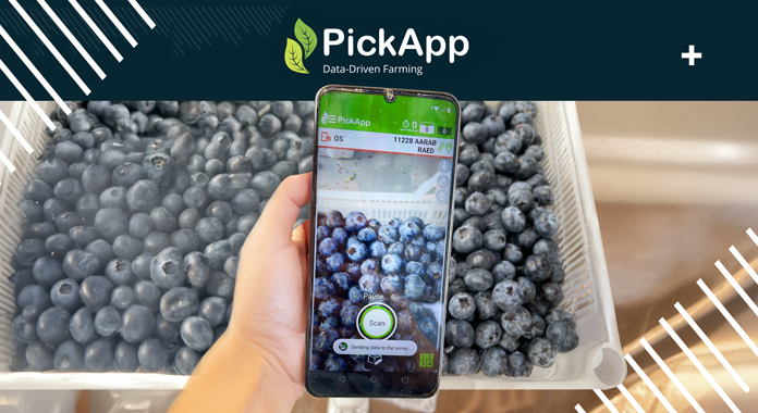 PickApp Farming : la gestion intelligente de vos cultures de fruits rouges | Blueberries Consulting