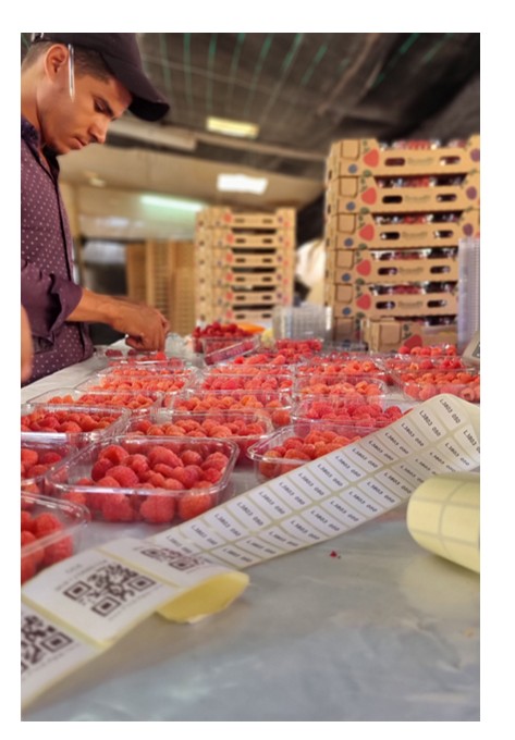 PickApp Farming: The smarter way to manage your soft fruit operations ...
