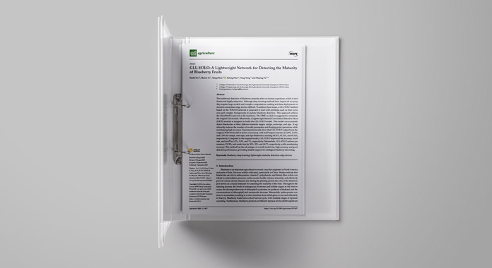 GLL-YOLO : Un réseau léger pour la détection de la maturité des ...